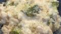 Chicken and Broccoli Mornay Recipe - Food.com