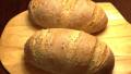 Crusty Sourdough Rye Bread Recipe - Food.com