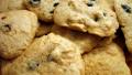 Old Fashioned Raisin Cookies (Acadian) Recipe - Food.com