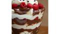 Low-Fat Chocolate Raspberry Trifle Recipe - Food.com