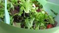 Healthy Spring Mix Recipe - Food.com