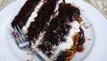 Chocolate Nirvana Cake Recipe - Food.com