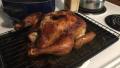 Kittencal's Best Blasted Rapid-Roast Whole Chicken Recipe - Food.com
