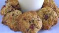 Grape Nuts-Oatmeal Cranberry Cookies Recipe - Food.com