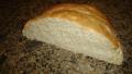 Outrageously Easy Big Bread Recipe - Food.com