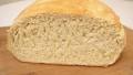 Outrageously Easy Big Bread Recipe - Food.com