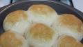 Perfect Basic Dinner Rolls Recipe - Food.com