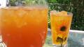 Iced Rooibos and Mango Tea Recipe - Food.com