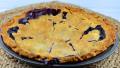 Blue Ribbon Wild Blueberry Pie Recipe - Food.com
