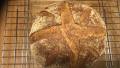 Wholesome Homemade Honey Whole Wheat Bread Recipe - Food.com