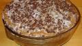 Chocolate Chip Cake Recipe - Food.com