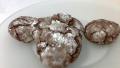 Chocolate Mint Snow Top Cookies Recipe - Food.com