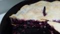 Johnny Jalapeno's Cast-Iron Blueberry Pie Recipe - Food.com