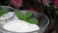 Minted Apple Fool Recipe - Food.com
