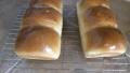 Newfoundland White Bread Recipe - Food.com
