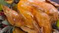 Good Old Fashioned Drunken Turkey Recipe - Food.com