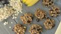 Flourless, No Added Sugar Oatmeal-Banana-Raisin Cookies Recipe - Food.com