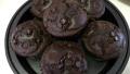 Devil's Food Chocolate Chip Muffins Recipe - Food.com