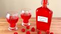 Anne of Green Gables Raspberry Cordial Recipe - Food.com