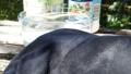 Removing Perspiration Stains Recipe - Food.com