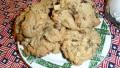 Date Drop Cookies Recipe - Food.com