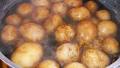 Salt Potatoes New York Style Recipe - Food.com