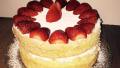 Custard Powder Sponge (No Fail Sponge Cake) Recipe - Food.com