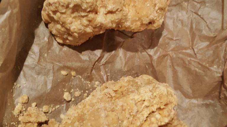 Rendering Beef Fat for Suet Cakes and Cones (Bird Food) Recipe - Food.com