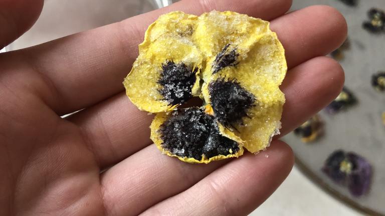 Candied Flowers Recipe - Food.com