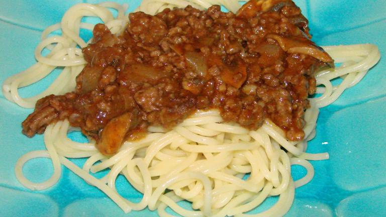 Polish American Spaghetti Sauce Recipe - Food.com