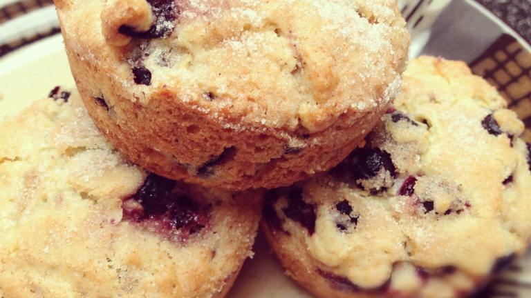 Saskatoon Berry Muffins Recipe - Food.com