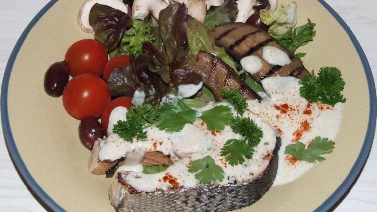 Salmon Cutlets With Yoghurt Sauce Recipe - Food.com