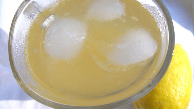 Middle Eastern Lemonade Recipe - Food.com