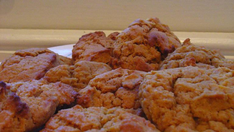 South African Ginger Cookies Recipe - Food.com