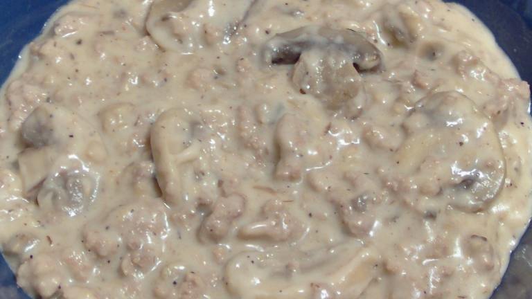 Sos Light -Ground Turkey Gravy Recipe - Food.com