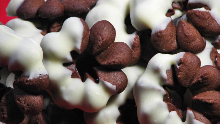 Chocolate-Mocha Spritz Cookies Recipe - Food.com