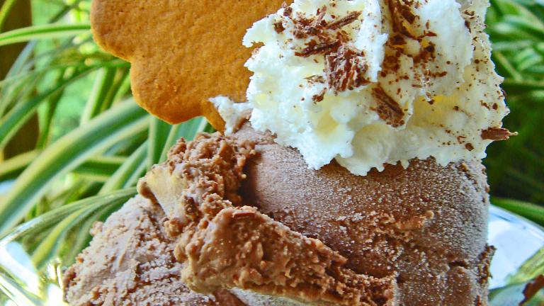 French Chocolate Ice Cream Recipe - Food.com