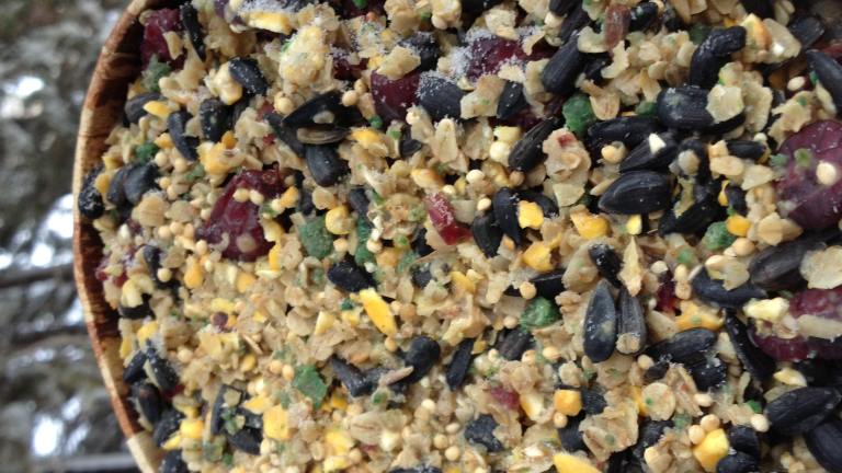 Peanut Butter Bird Suet Recipe - Food.com