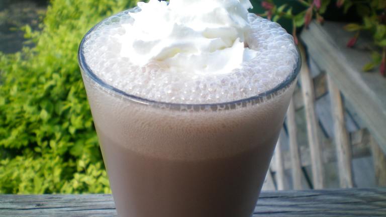 Arby's Jamocha Shake Copycat (Low Fat Recipe) Recipe - Food.com