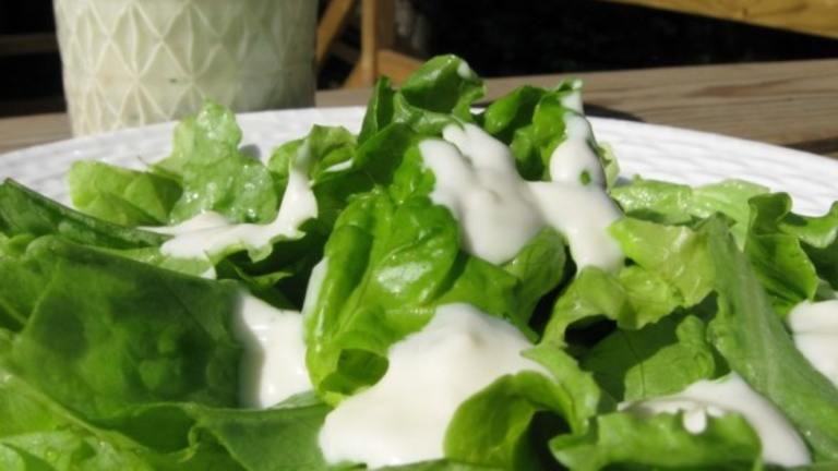 Bikini-Ready, Light Creamy Parmesan Dressing Recipe - Food.com