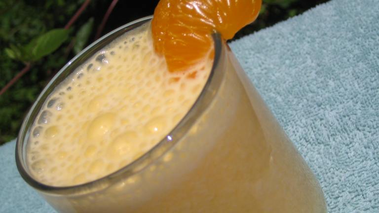 Mandarin Orange Yogurt Smoothie / Drink Recipe - Food.com
