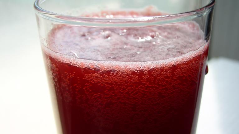 Raspberry Shrub Recipe - Food.com