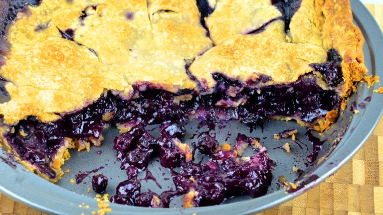 Blue Ribbon Wild Blueberry Pie Recipe - Food.com