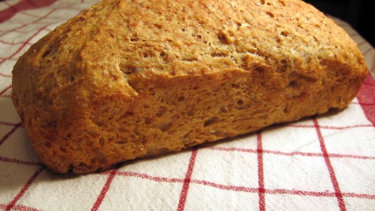 No-Knead Whole Wheat Sandwich Bread Recipe - Food.com