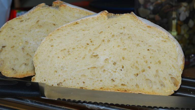 No-Knead Bread Recipe - Food.com