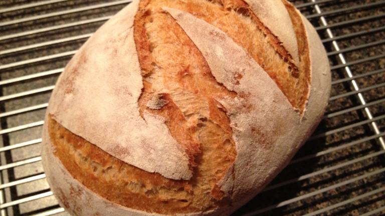 Harry's Whole Grain No Knead Dutch Oven Bread Recipe - Food.com