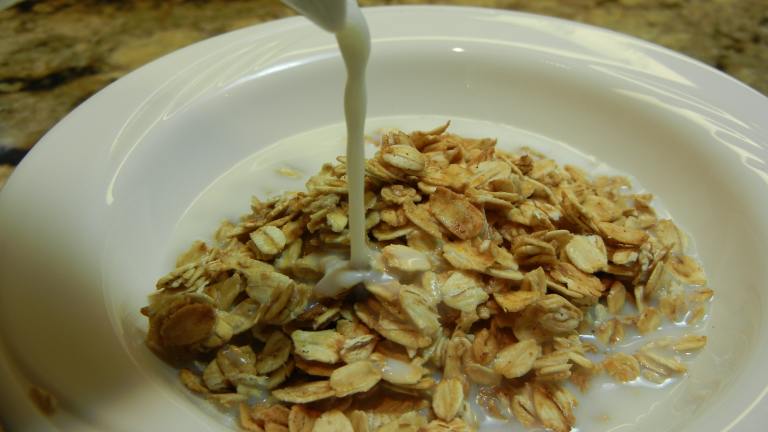 Budget-Friendly Homemade Cereal Recipe - Food.com