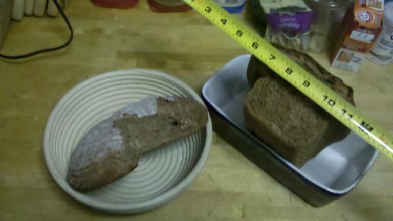 High Rising Whole Wheat Commercial Yeast Bread Recipe - Food.com
