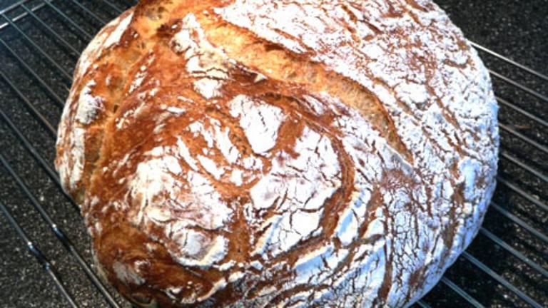 Sullivan St. Bakery Bread Recipe - Food.com