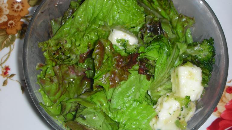 Swiss Basic Salad Dressing Recipe - Food.com